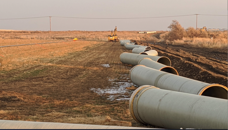 Build Construction Services – ICD